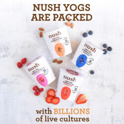 Cheese Spreads - Nush Foods